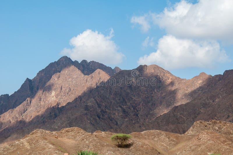Oman`s mountains stock photo. Image of plant, mountains - 187026504