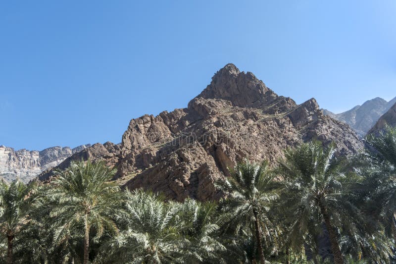 Oman - Wadi Bani Awf - Palm Trees and Rocky Mountains Stock Image ...