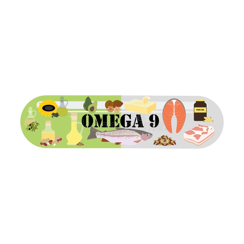 Omega 9 Healthy Nutrient Rich Food Vector Illustration Stock Vector ...