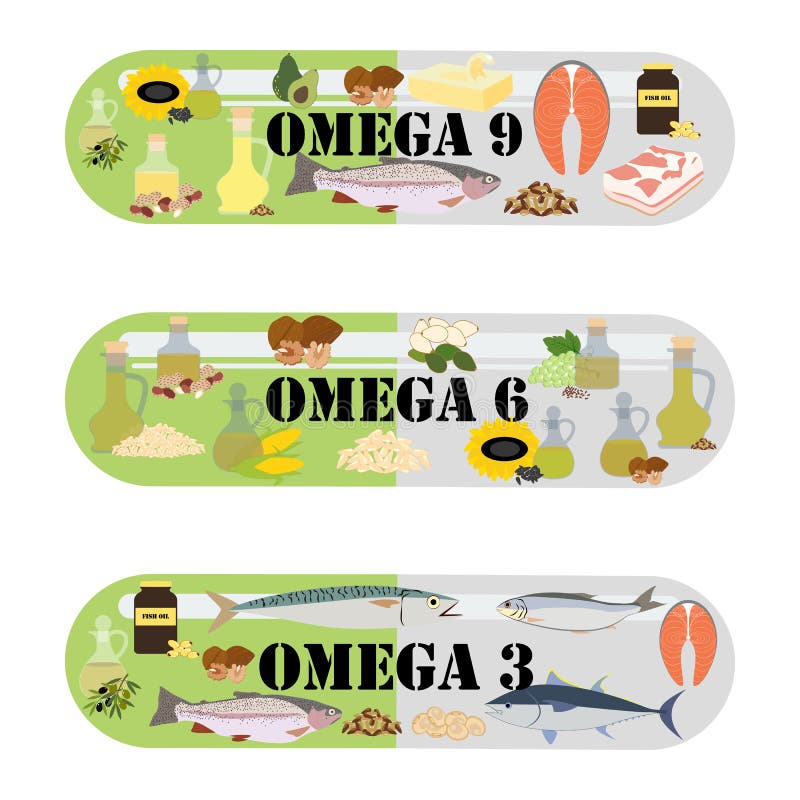 Omega 3 6 9 Healthy Nutrient Rich Food Vector Illustration Stock Vector ...