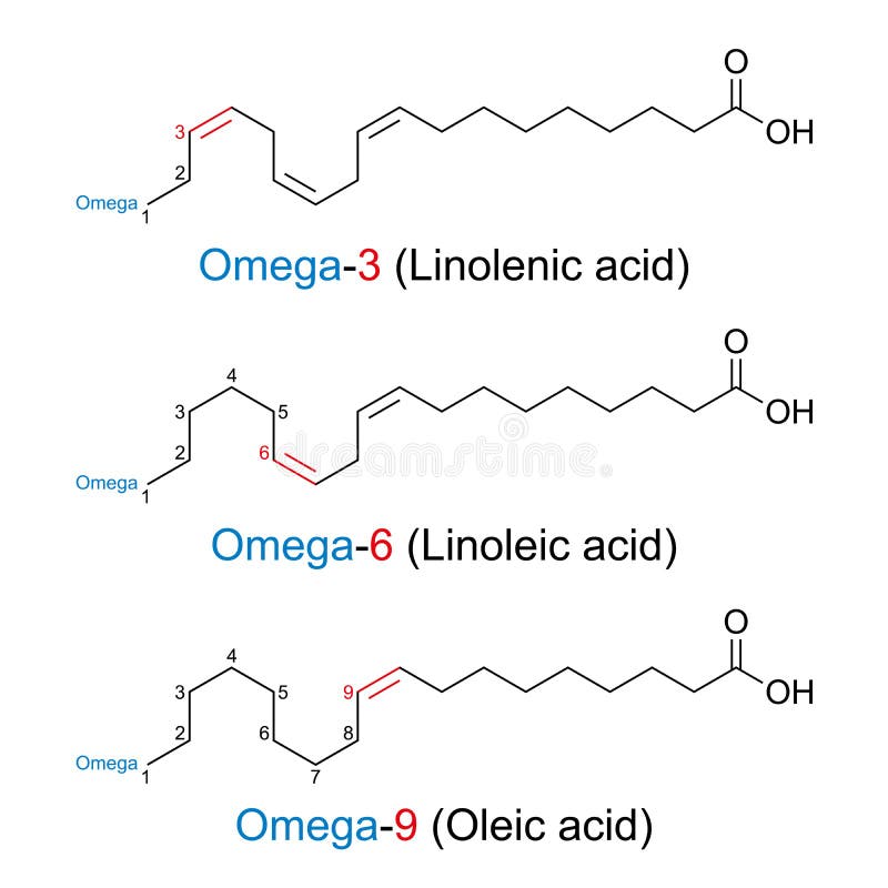 Linolenate Stock Illustrations – 42 Linolenate Stock Illustrations ...
