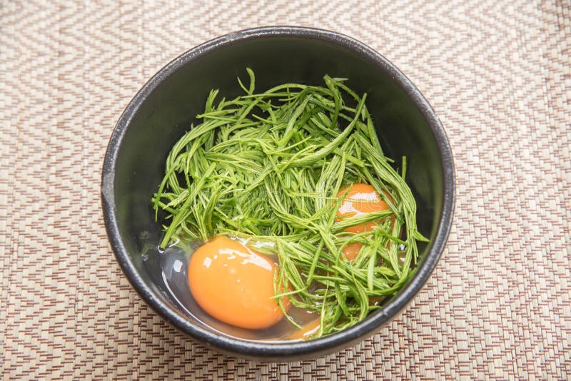 Omelet with Vegetables,Climbing Wattle Stock Image - Image of herb ...