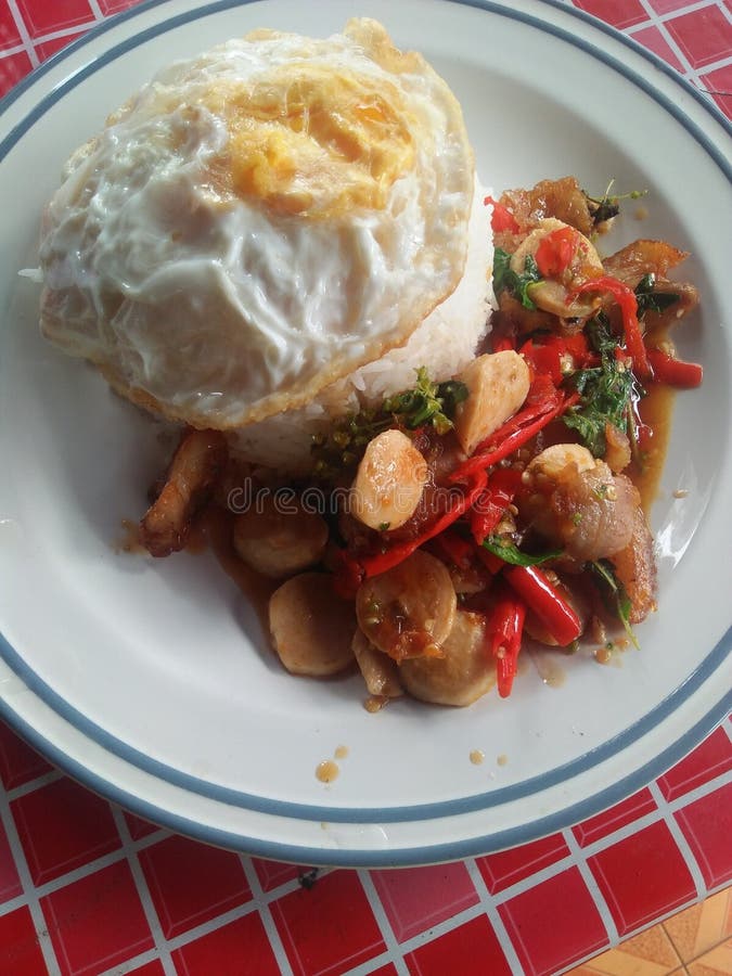 Omelete and capjay stock photo. Image of breakfast, produce - 243196638