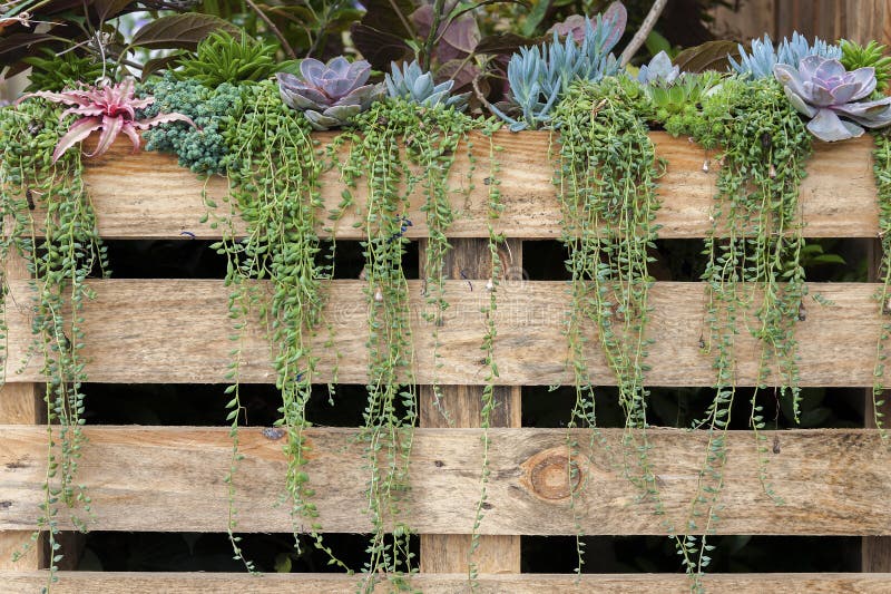 Omheining in tuin stock afbeelding. Image of flora, mooi - 53375035