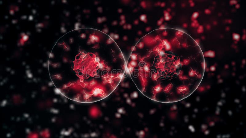 Omicron Pathogen of Coronavirus 2019-nCov Inside Infected Organism ...