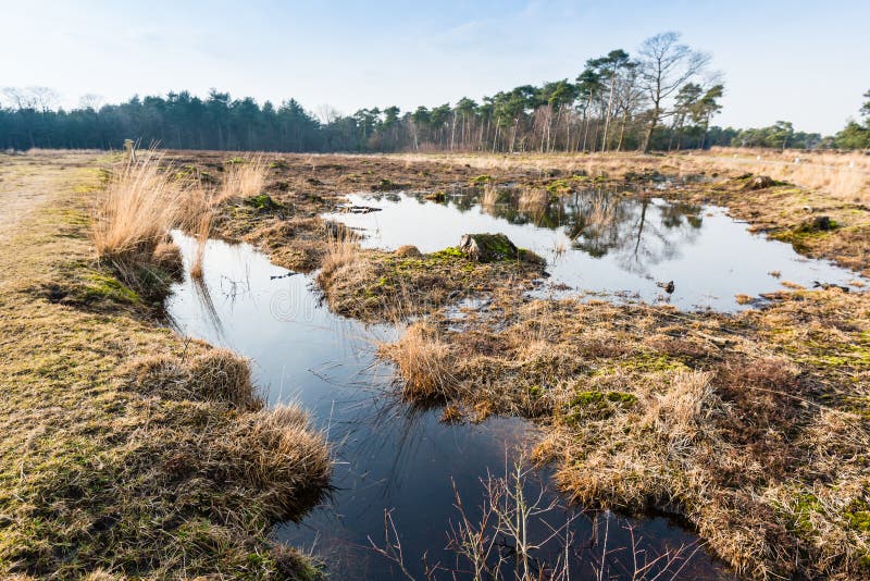 Ominous landscape stock photo. Image of green, natural - 29490106