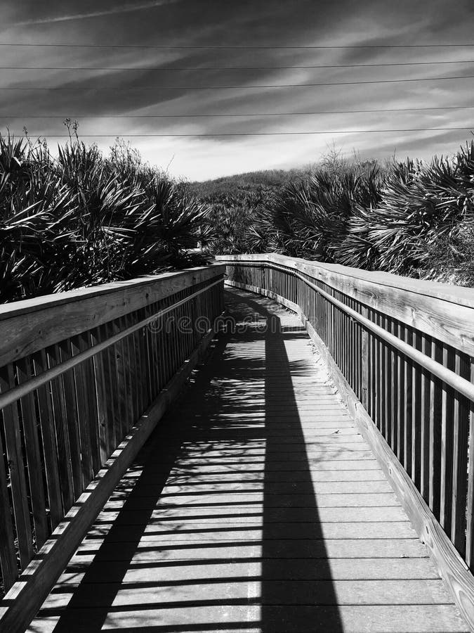 Ominous Path stock photo. Image of tone, ominous, ponce - 66919338