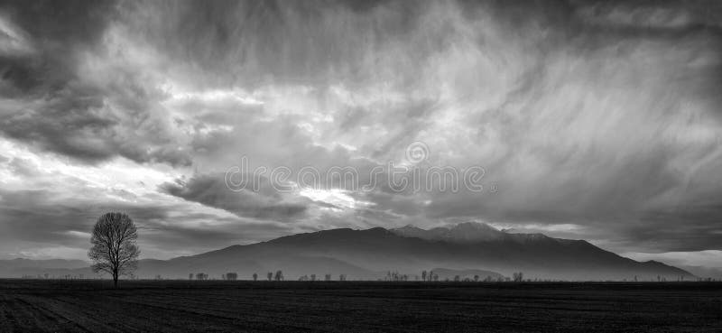 110 Ominous Snowy Landscape Stock Photos - Free & Royalty-Free Stock ...