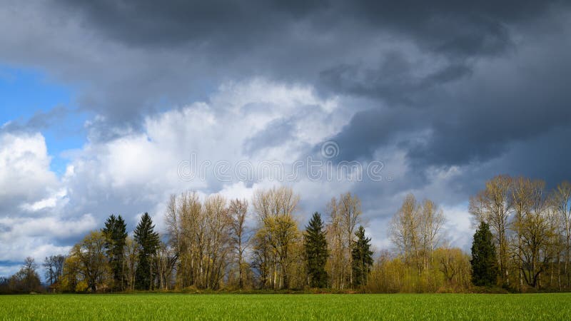 Ominous Storm Clouds Over Trees Green Spring Farm Field Stock Photos ...