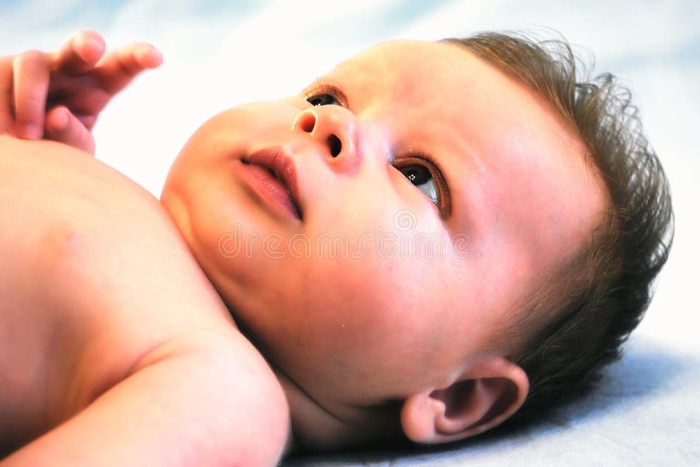 Once more plz stock image. Image of delicacy, dearly, fondness - 9634651