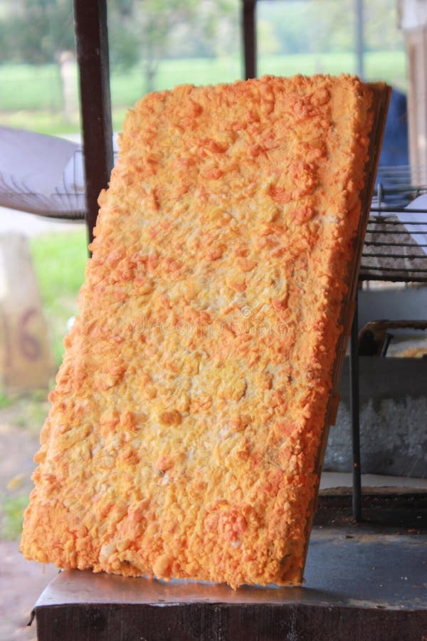 Oncom Red, Traditional Food in Indonesia Stock Photo - Image of meal ...