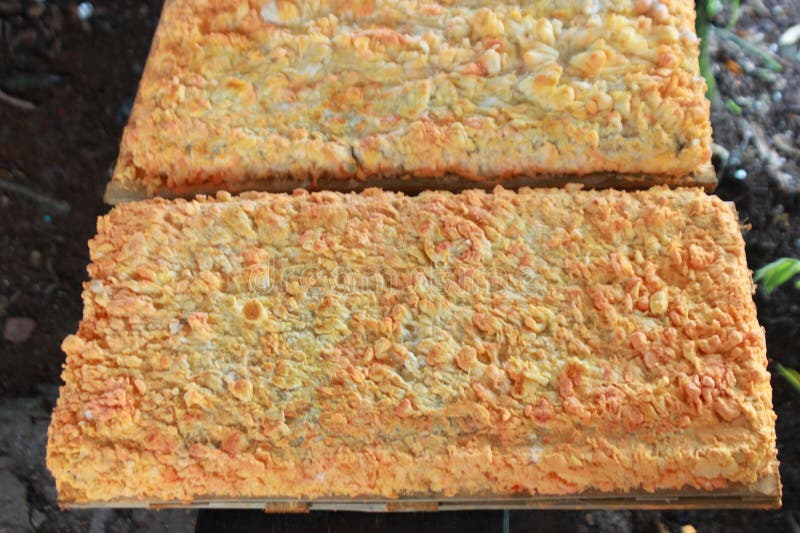 Oncom Red, Traditional Food in Indonesia Stock Image - Image of fungus ...