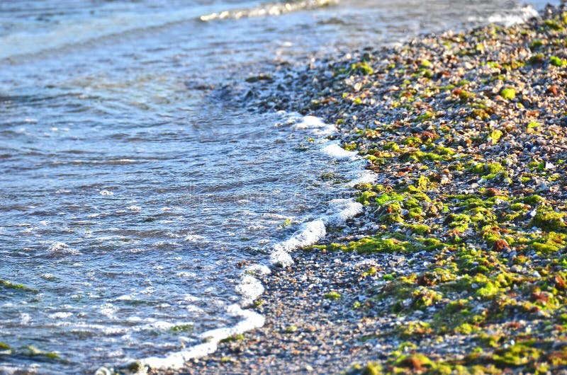 Onde de ressac de mer image stock. Image du horizontal - 29208931