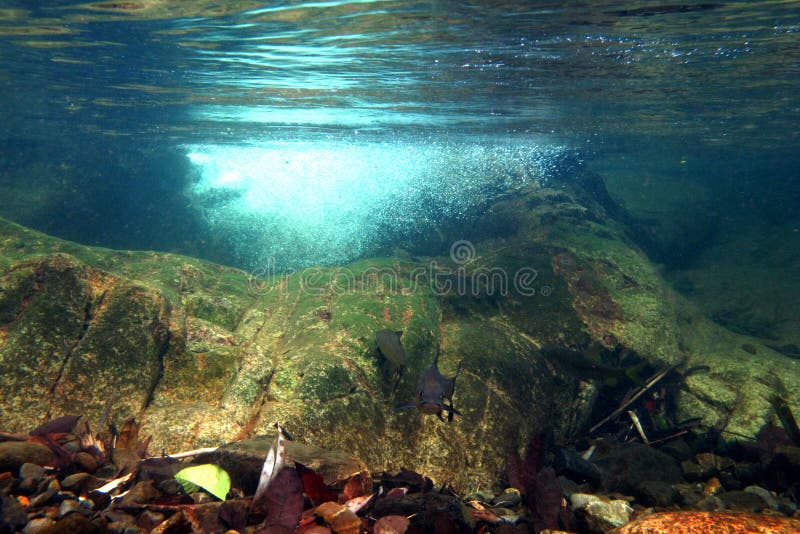 Ploeter Water Onder De Waterval Stock Foto - Image of water, beweging ...