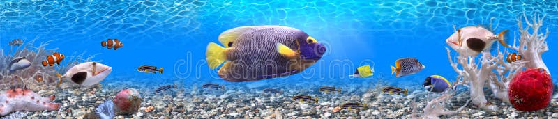 Oneindige spiegels stock illustratie. Illustration of marmer - 8662719