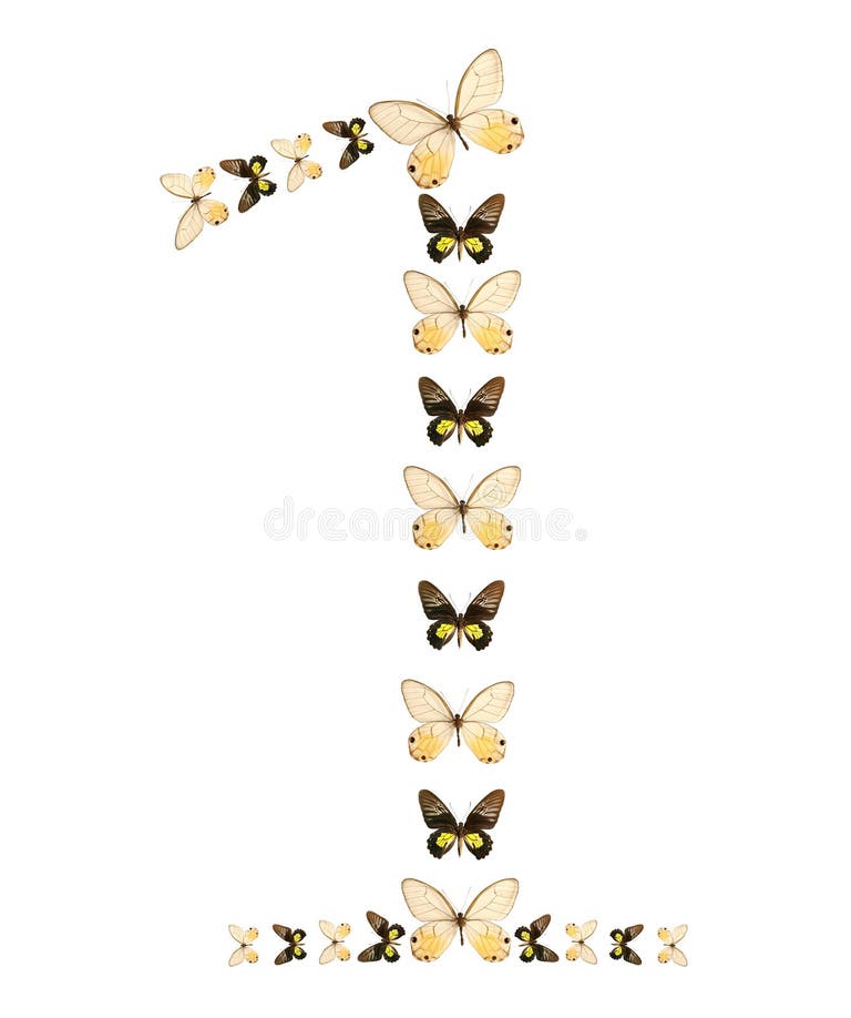 Butterfly Number One Stock Illustrations – 128 Butterfly Number One ...