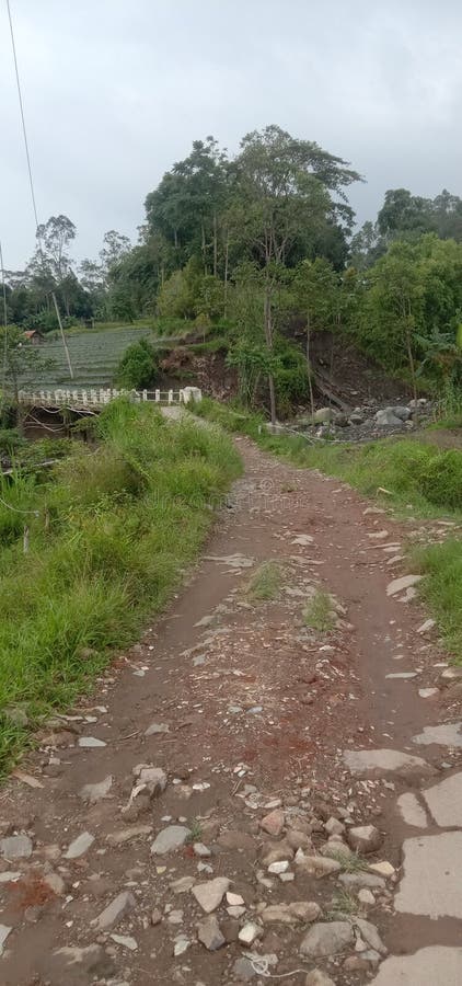 One of the Access Roads that are Not Suitable for Use by Sridadi ...