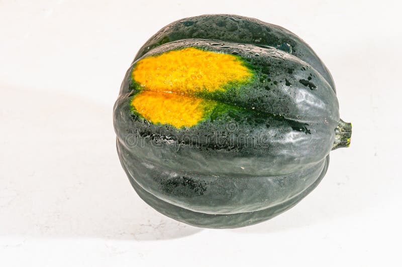One Acorn Squash on, White Background Stock Photo - Image of squash ...