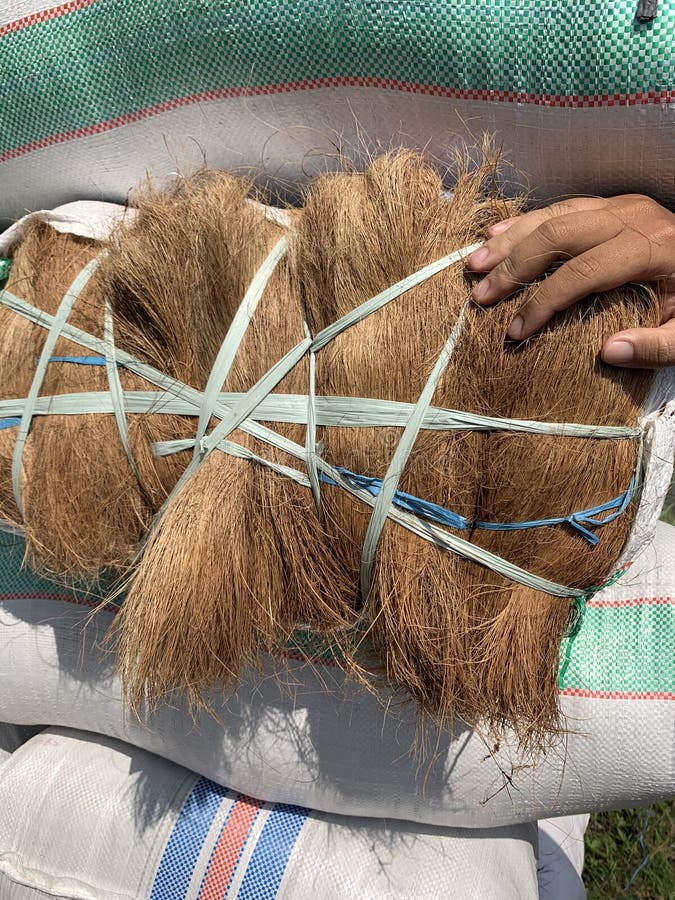 One of the Agricultural Production in Indonesia with Processed Coconut ...