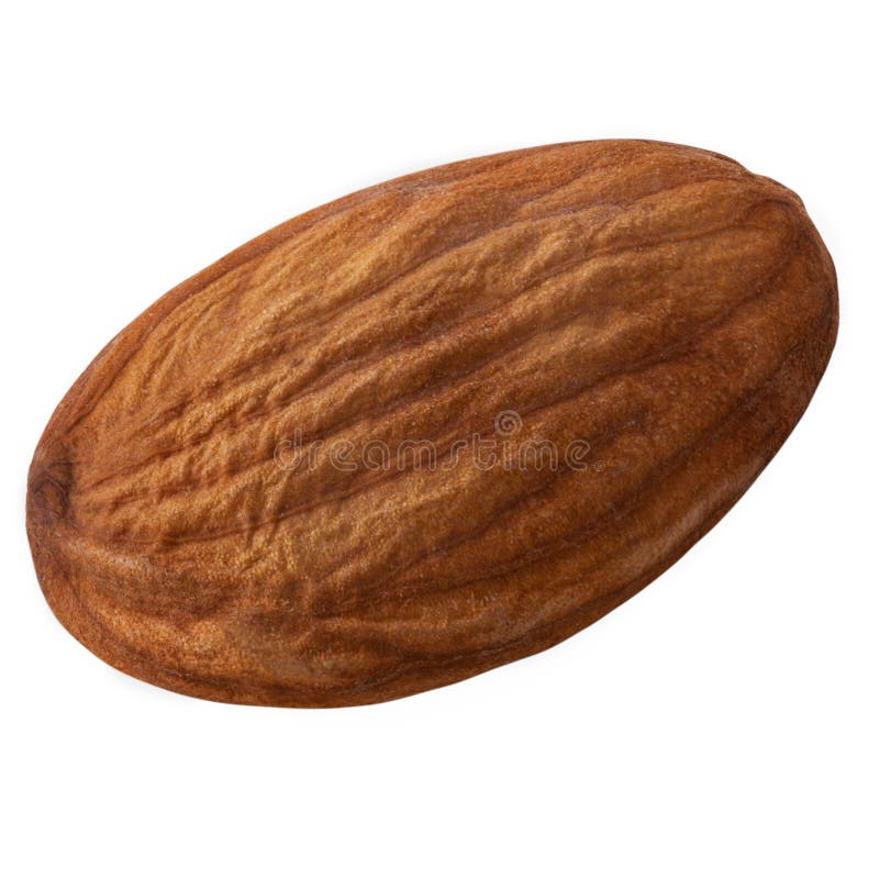 One Almond Fruit Isolated on White with Maximum Sharpness Stock Image ...
