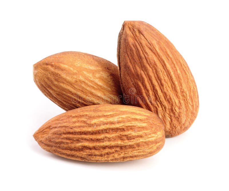 One Almond Nut Isolated on White Background Close-up Macro Stock Image ...