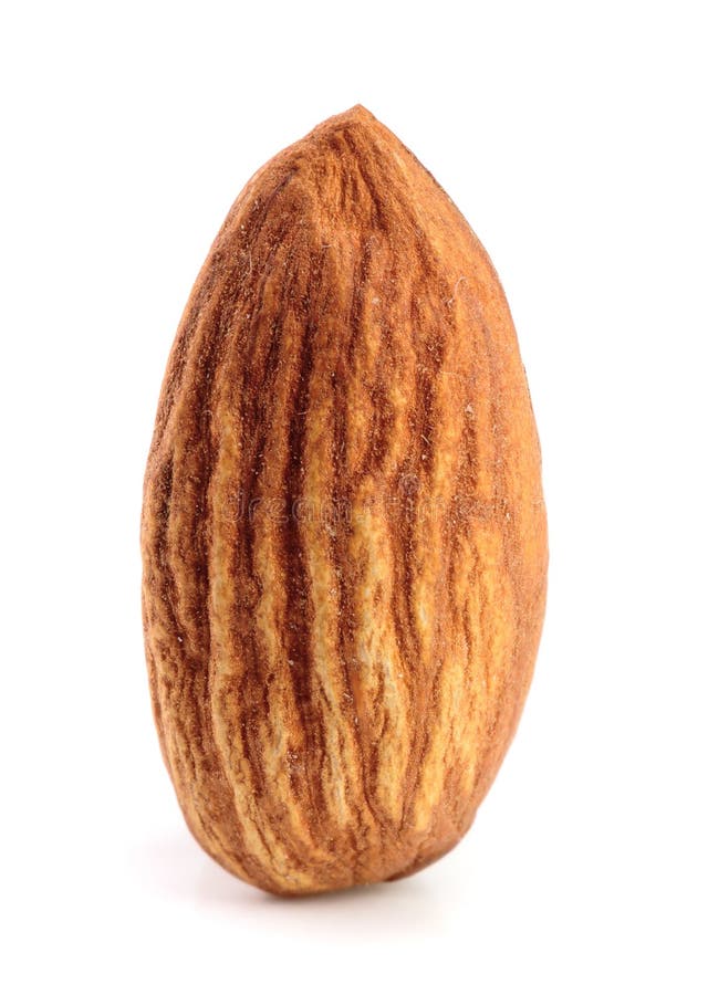 One Almond Isolated on White Background Macro Stock Photo - Image of ...