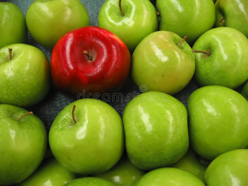 One Apple among Lots of Green Stock Photo - Image of fresh, bunch: 3336940