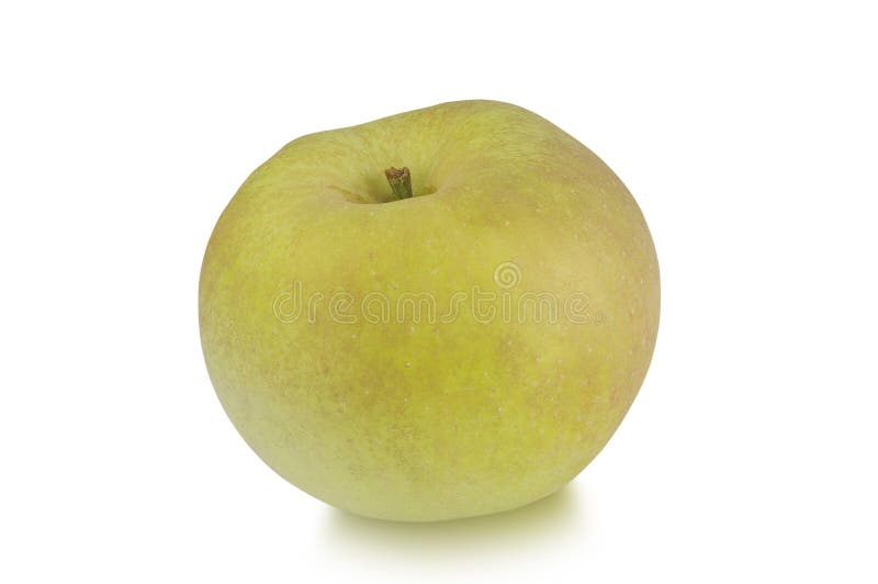 One Apple Reinette Isolated on White Background Stock Photo - Image of ...