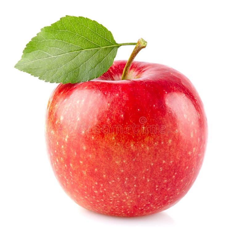 One apple stock photo. Image of closeup, isolated, fresh - 45309896