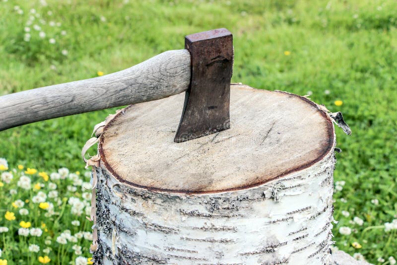 Axe On Tree Trunk Picture. Image: 82949924