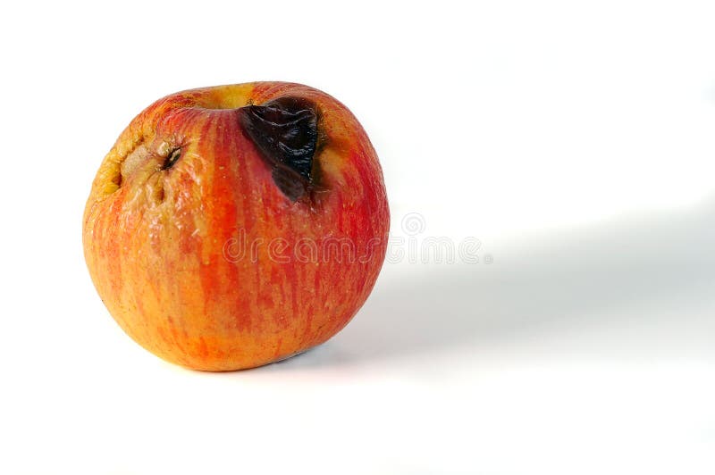One Bad Apple stock photo. Image of spoiled, waste, basura - 493216