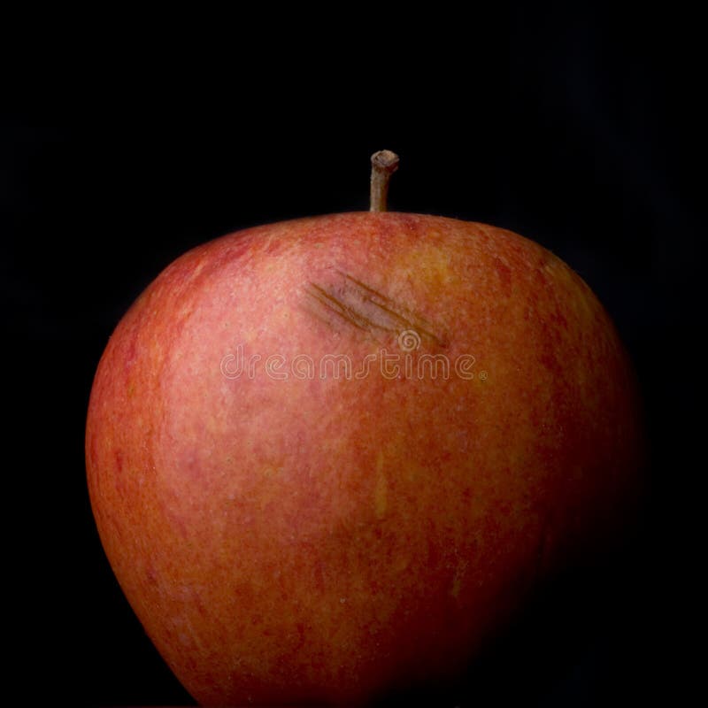 Bruised Apple between Two Healthy Apples Stock Image - Image of health ...