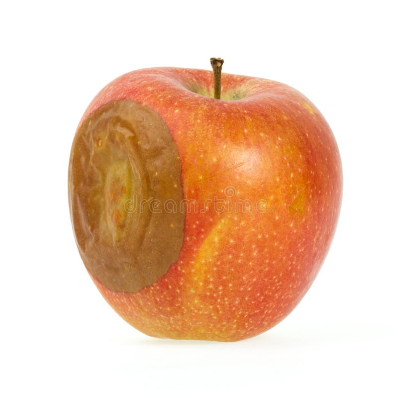 One bad red apple stock image. Image of contaminate, apple - 26358143