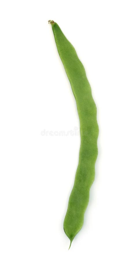 Bean Stalk stock photo. Image of isolated, tale, fauna, bean - 88576