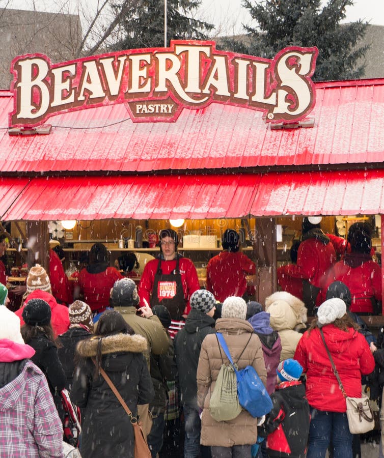 Beavertail stock image. Image of purple, blossom, bloom - 22855793