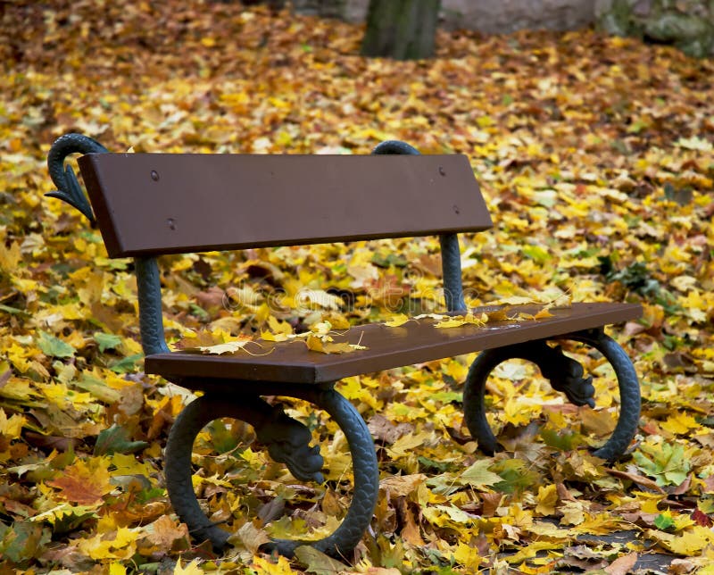 One Bench with Autumn Dry Leaves Stock Image - Image of gradient, leaf ...