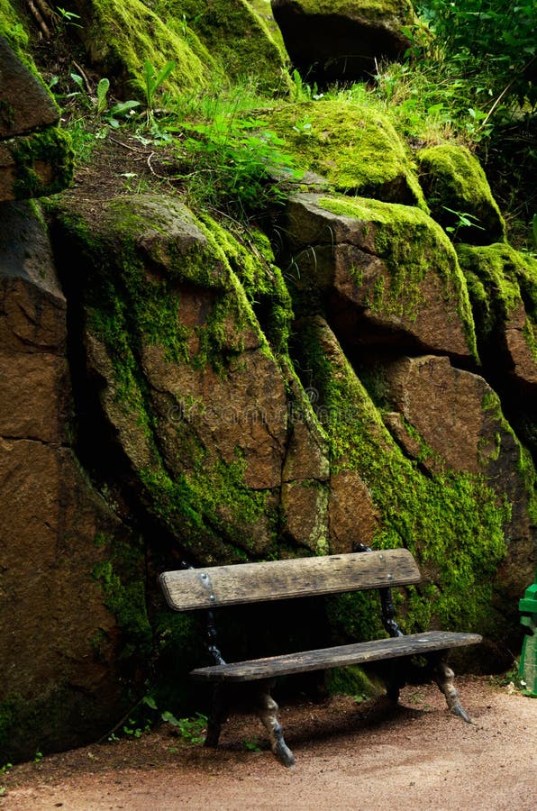 One bench stock photo. Image of relief, moss, bench, moisture - 43867846