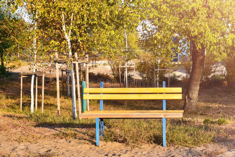 One Bench in the Park in Autumn with Yellow Leaves in the Sun. Stock ...