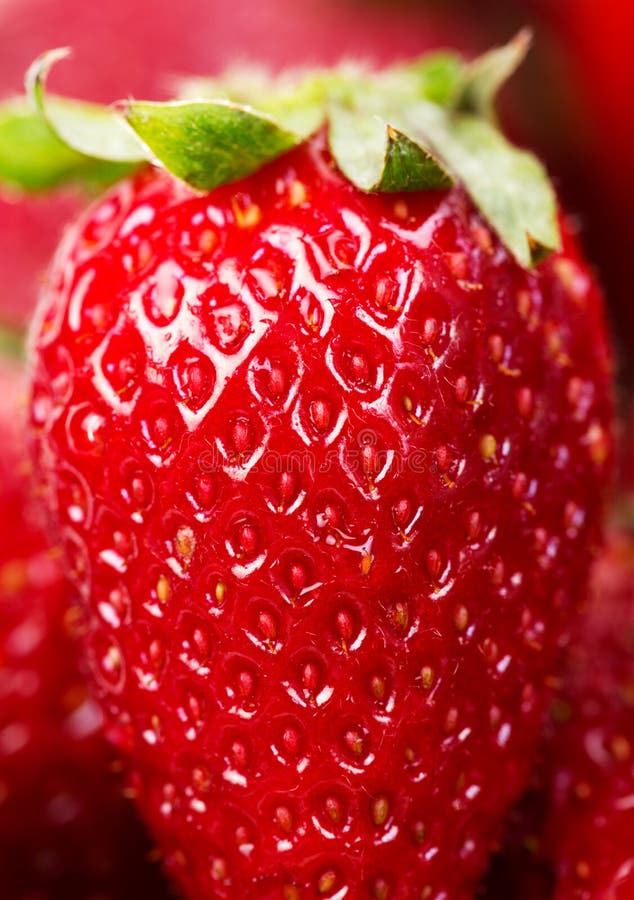 One berry strawberry stock image. Image of heap, refreshment - 30970277