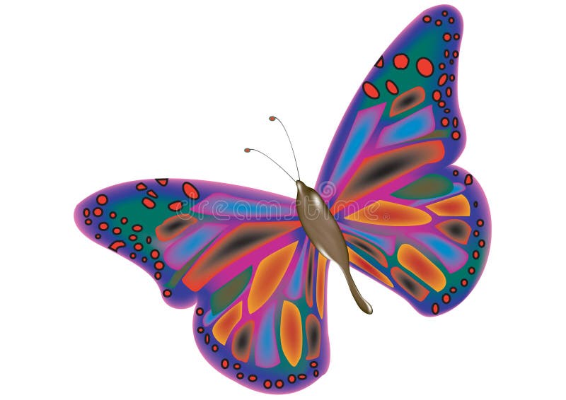 10+ Beautiful fluttering butterfly Free Stock Photos - StockFreeImages