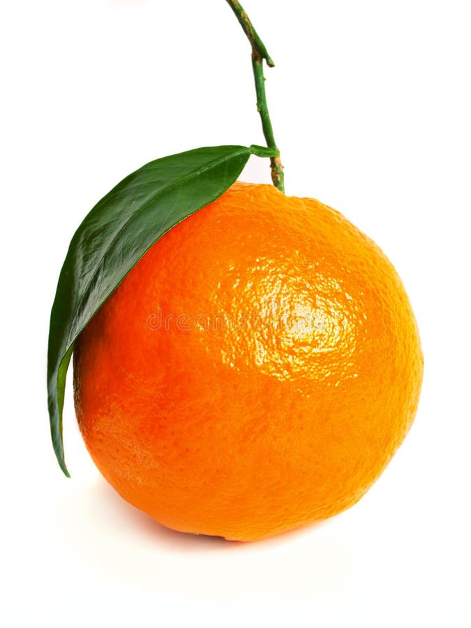 One big orange stock image. Image of groceries, copy, medicine - 3865133