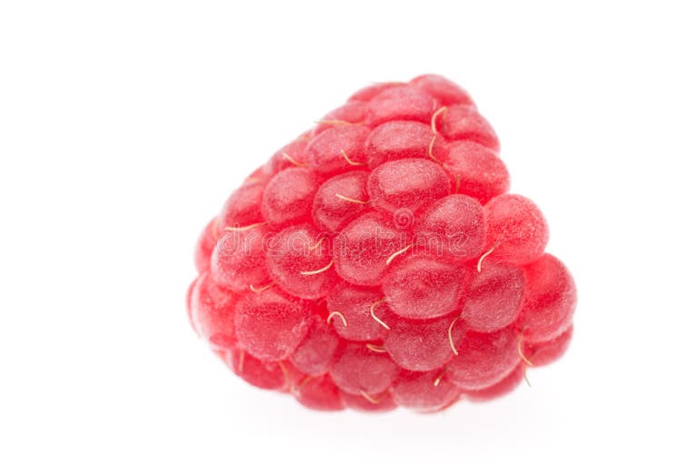 One big red raspberry stock image. Image of food, aroma - 41947283
