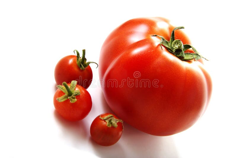 One Big and Three Small Tomatoes. Stock Photo - Image of cook, tomato ...