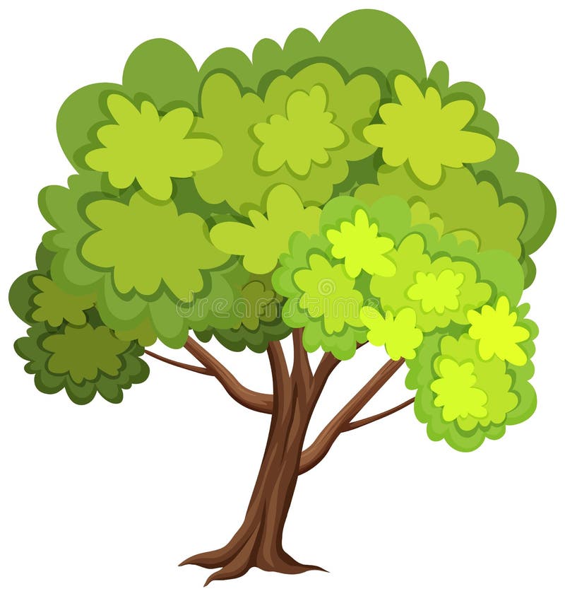 One Big Tree on White Background Stock Vector - Illustration of graphic ...