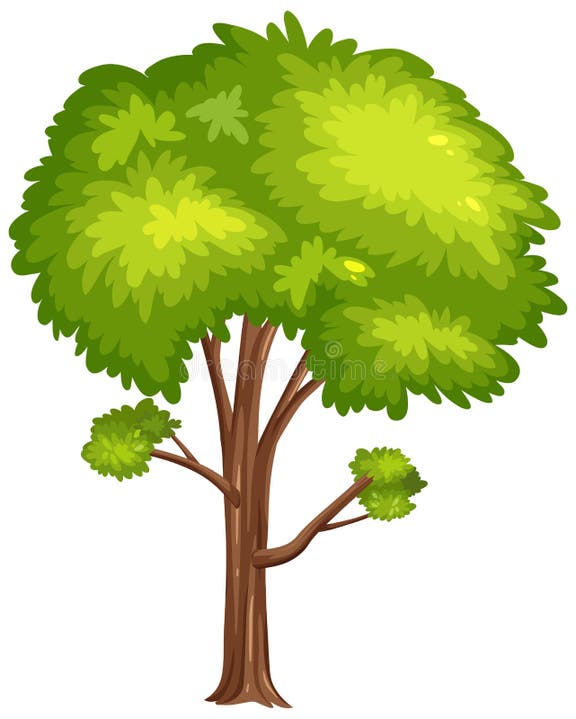 One Big Tree on White Background Stock Vector - Illustration of tree ...