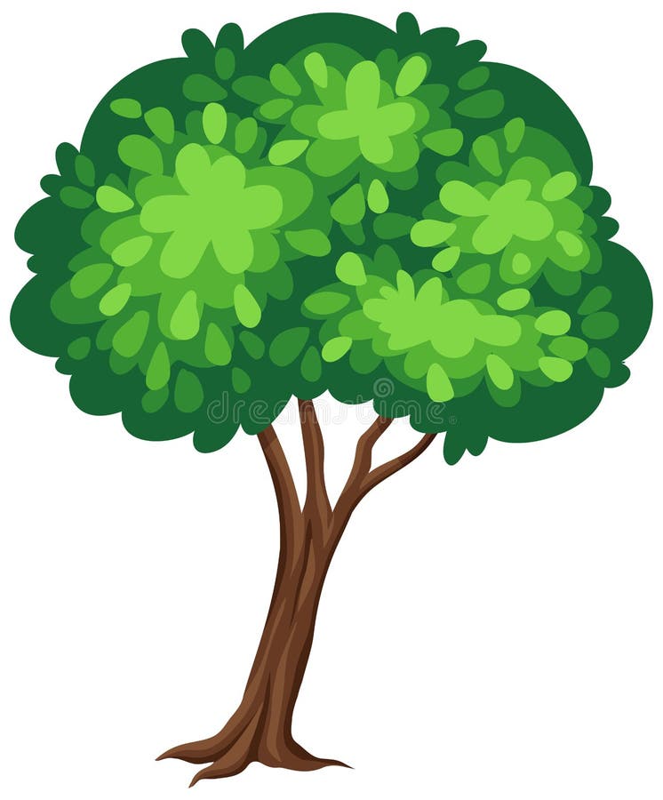 One Big Tree on White Background Stock Vector - Illustration of natural ...