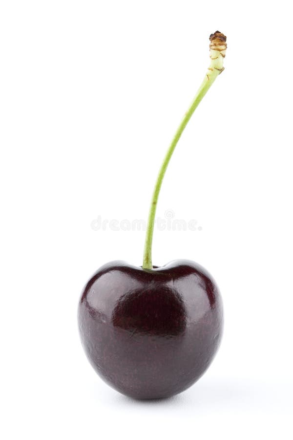 Single Black Cherry stock photo. Image of nutritious, nutrition - 1680114