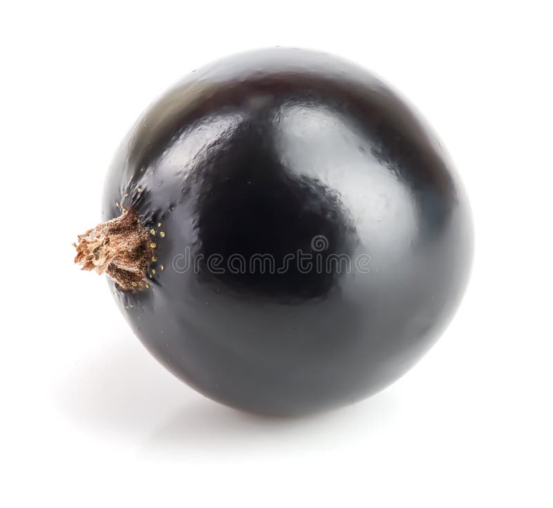 One Black Currant Isolated on White Background Stock Photo - Image of ...