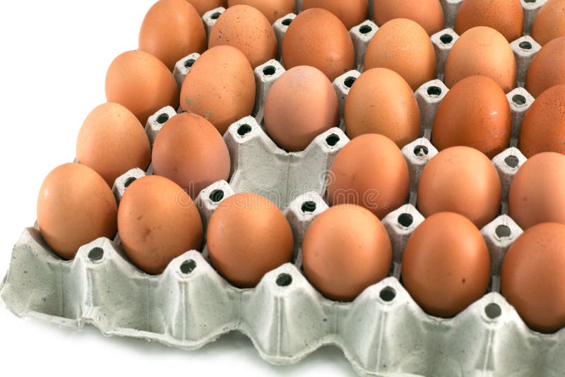 One blank of egg rack stock photo. Image of gourmet, restaurant - 43657784