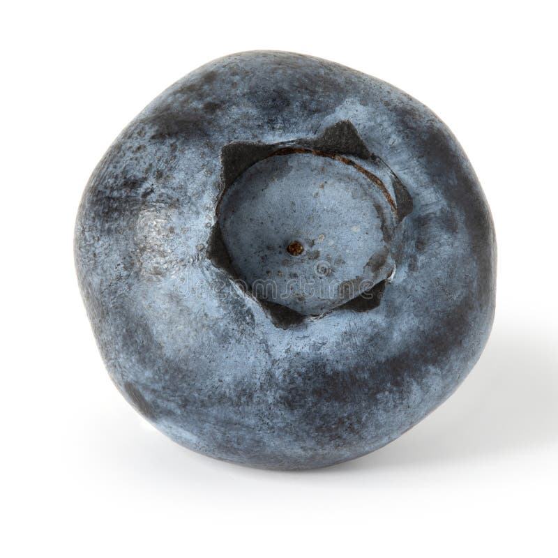 One Blueberry Close-up on a White Background. Full Depth of Field. with ...